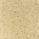 Courtyard Paver | Budget Pavers | Best Brick Pavers Adelaide