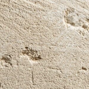 Natural Limestone Blocks Adelaide | Retaining Walls Blocks Adelaide